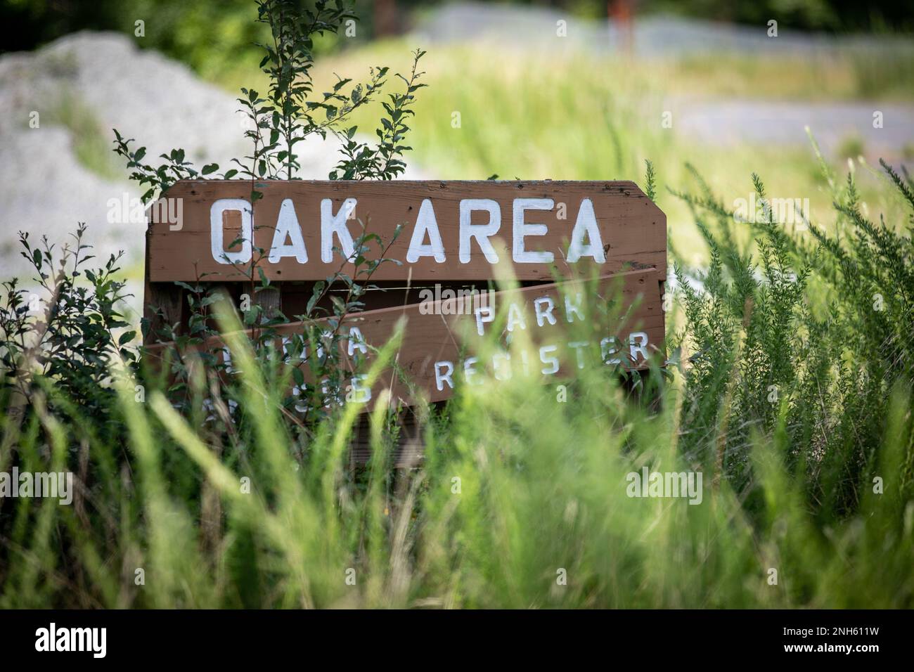 Newly built cabins are shown nestled in the forest at the Oak Area of ...
