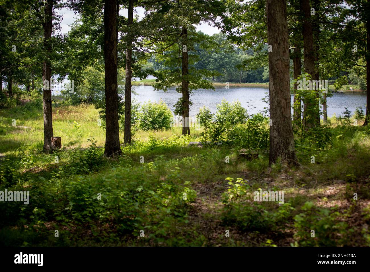 Lunga Recreation Facility provides habitats to the many different ...