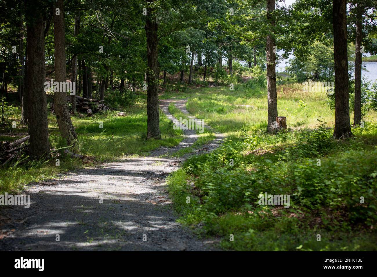 Lunga Recreation Facility provides habitats to the many different ...