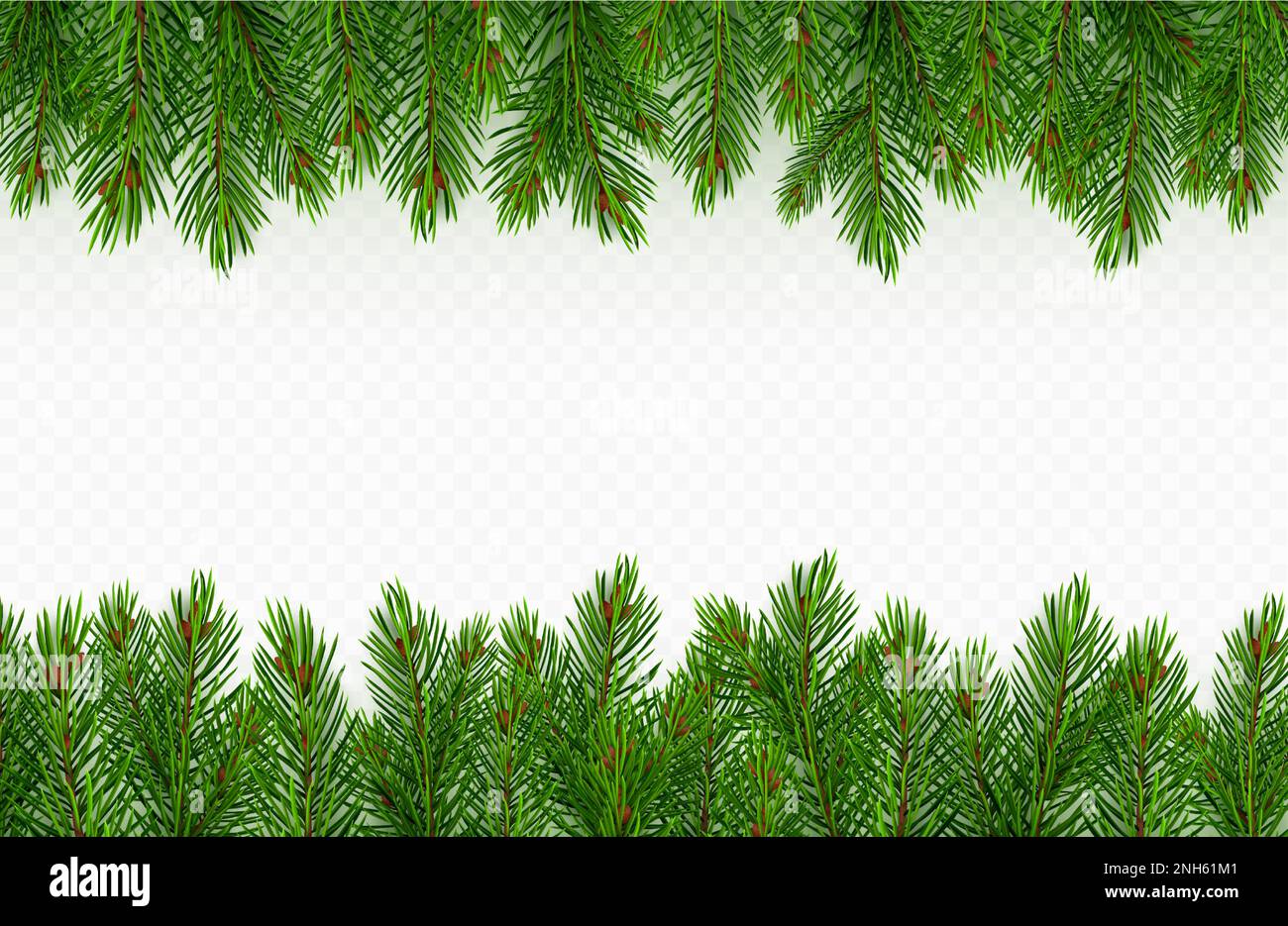 Pine tree branch border realistic vector illustration. Fir twigs with ...