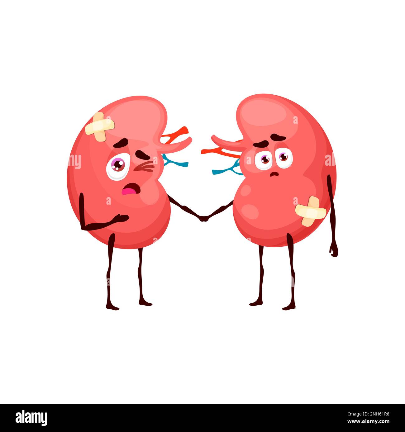 Kidneys sick body organ character. Cartoon reins vector anatomical ...