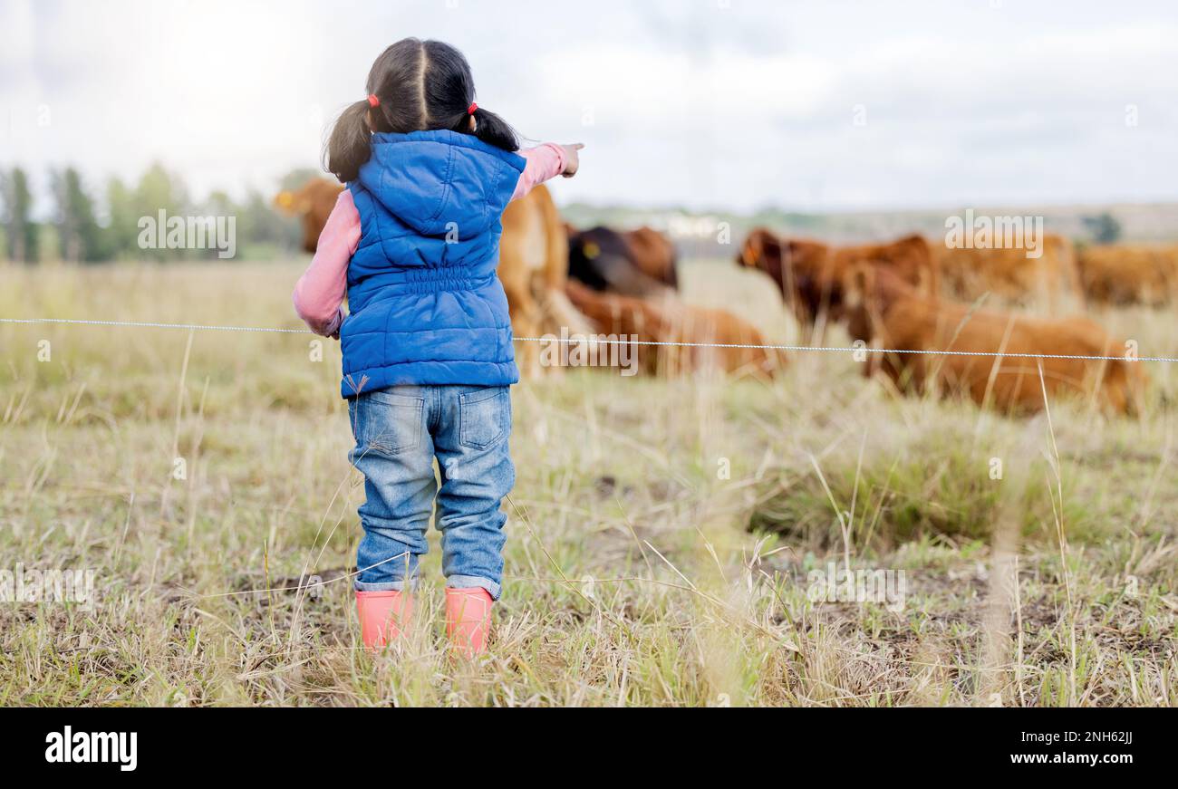Farm, cow and a girl from the back looking at cattle on an agricultural ...
