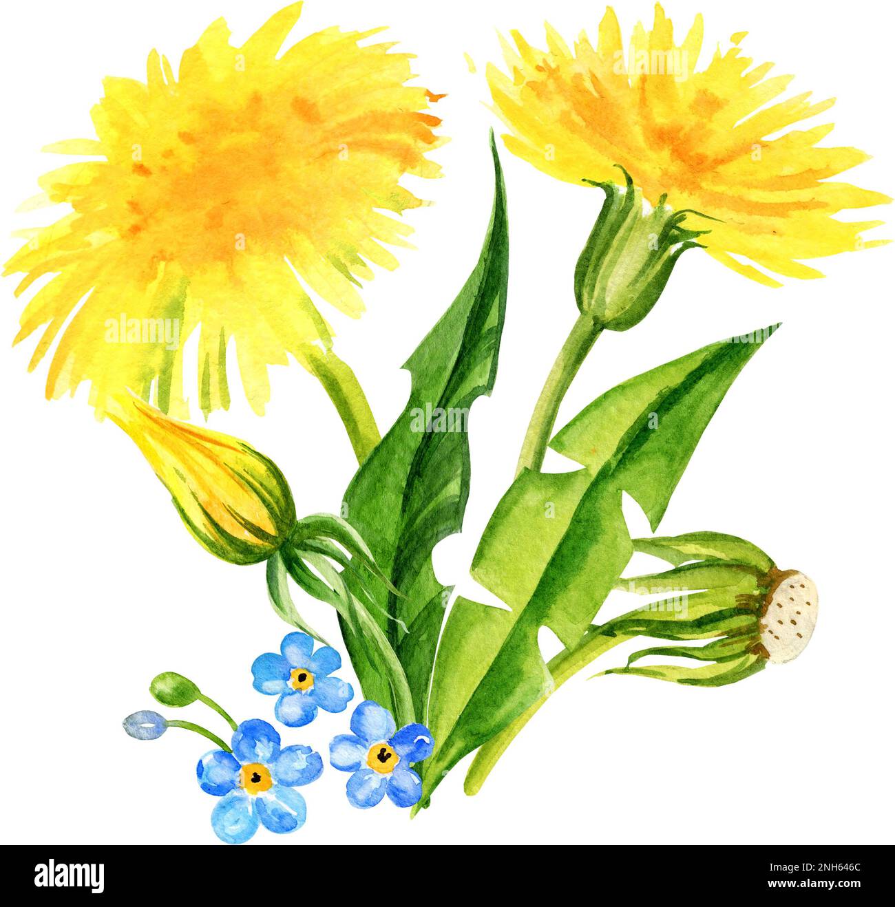 watercolor field flowers composition, hand draw sketch, summer flowers ...