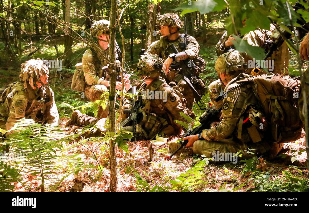 U.S. Army Soldiers assigned to Charlie Company, 1st Battalion, 181st ...