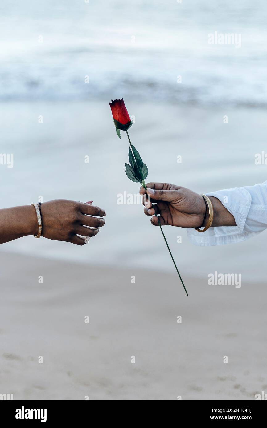 Handing a rose hi-res stock photography and images - Alamy