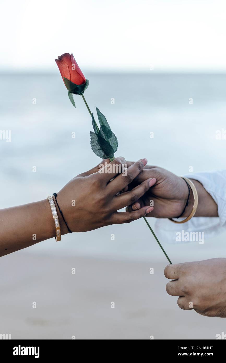 Handing a rose hi-res stock photography and images - Alamy