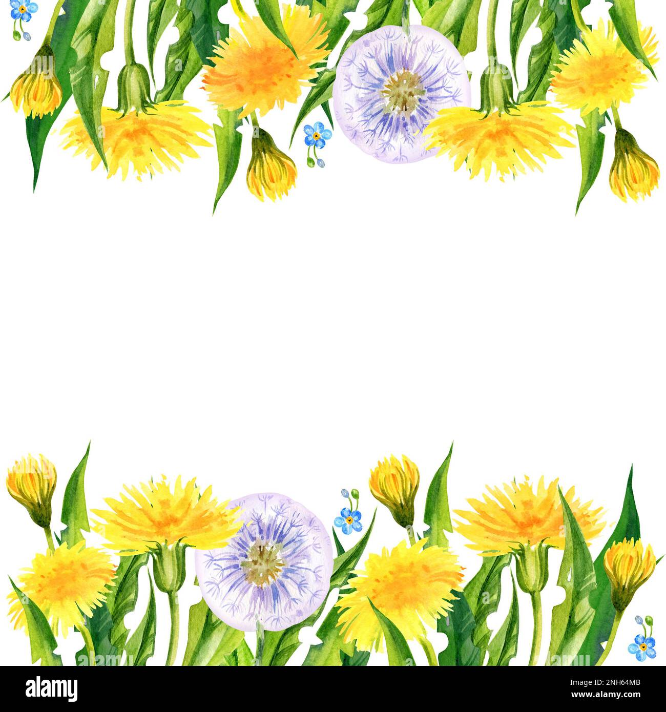 flowers border, hand draw watercolour flowers dandelions, herbs ...