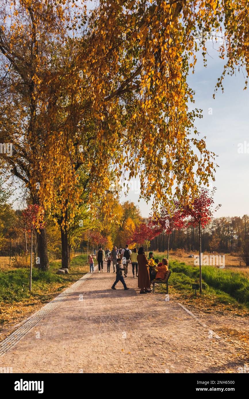 People walk along the autumn alley of the Botanical Garden of the city ...