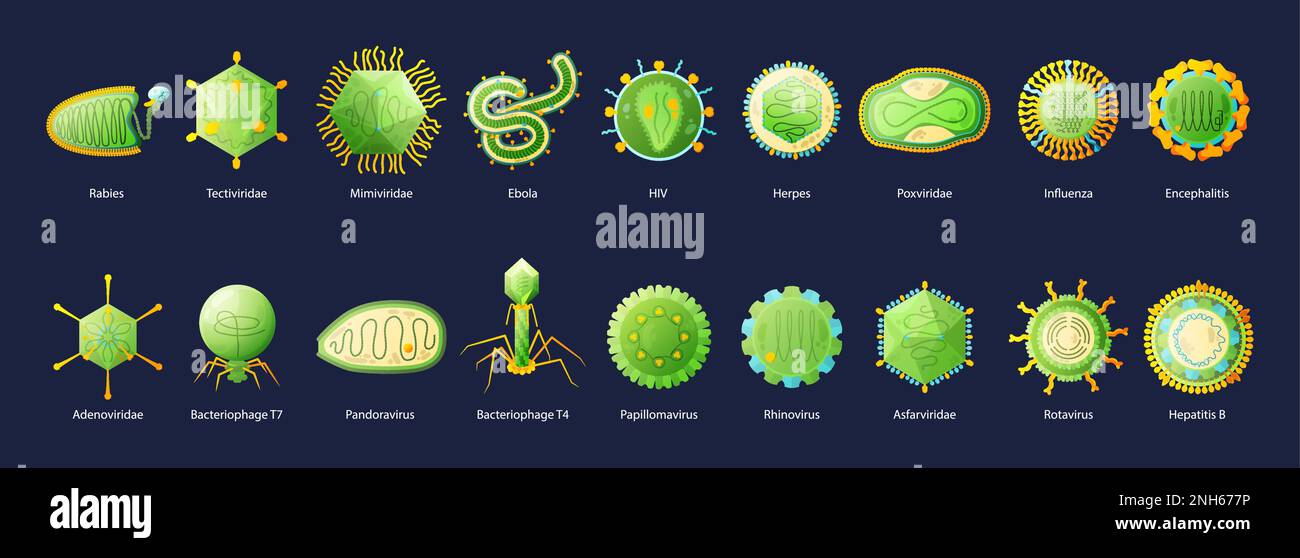 Human viruses set with hiv ebola influenza hepatitis green educative ...