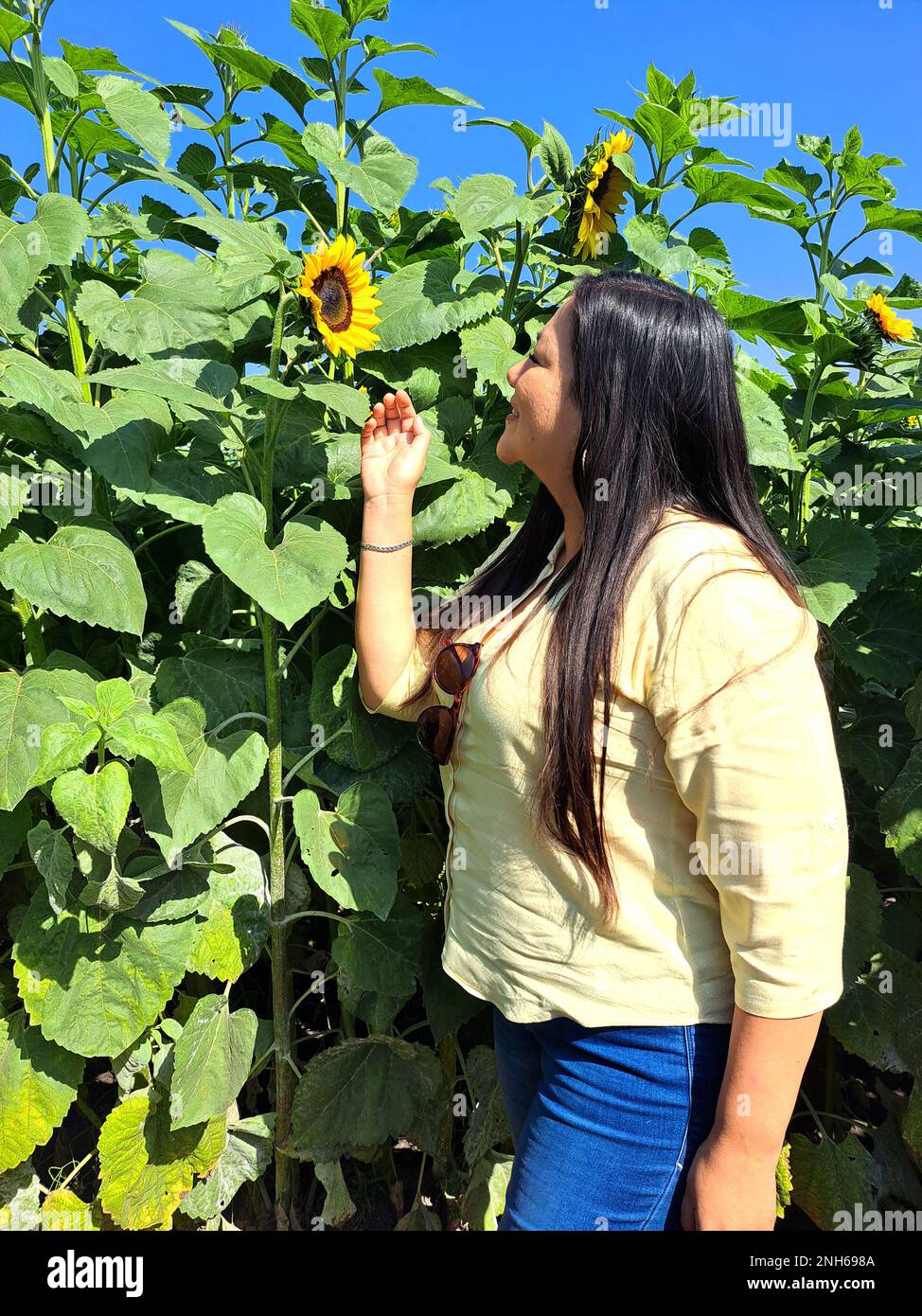 Fullness hi-res stock photography and images - Alamy