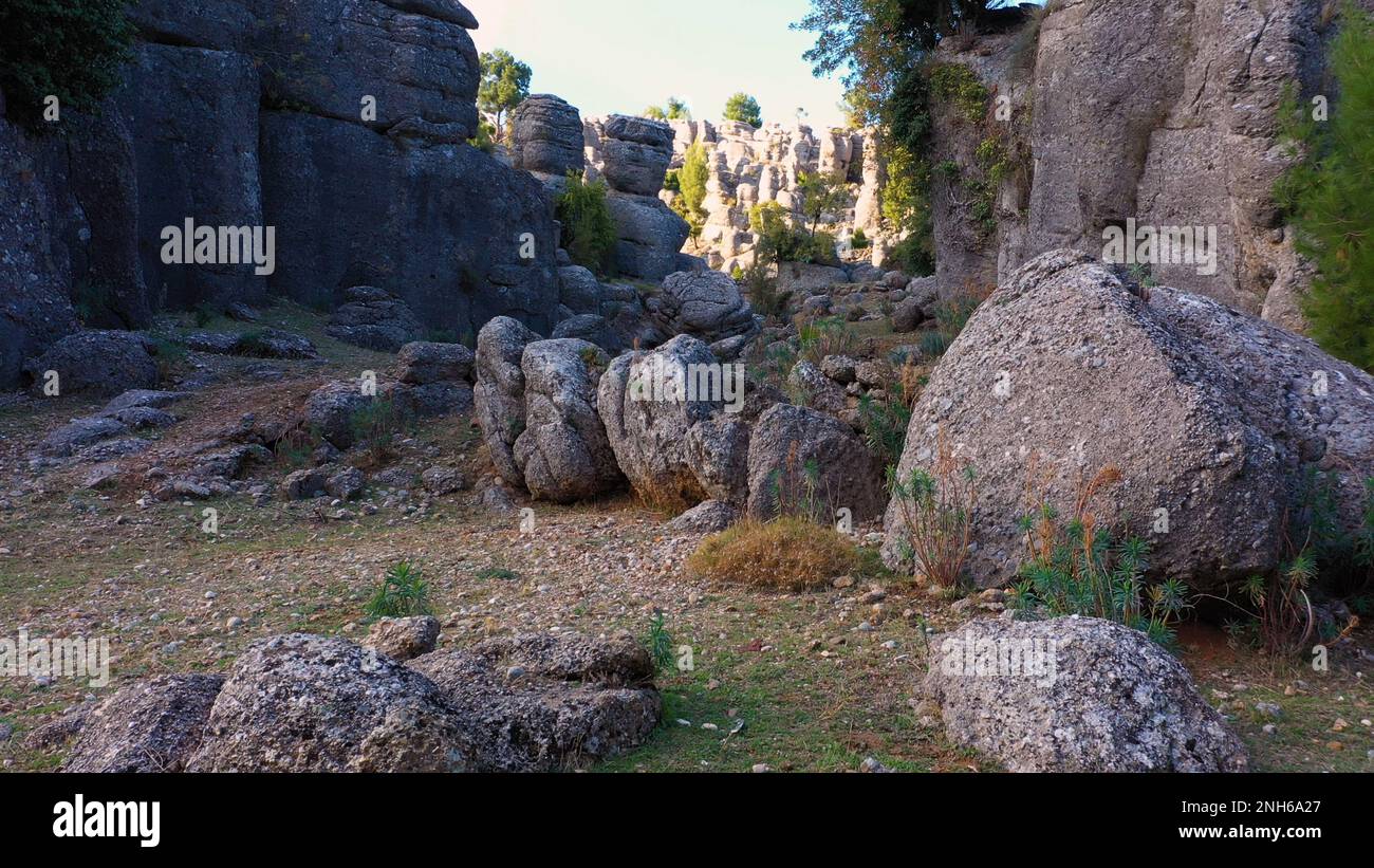Park with beautiful rock formations and green coniferous trees on a ...