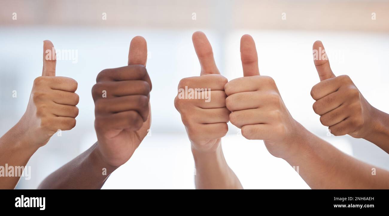 Hands, thumbs up and business people with thank you, success and yes ...