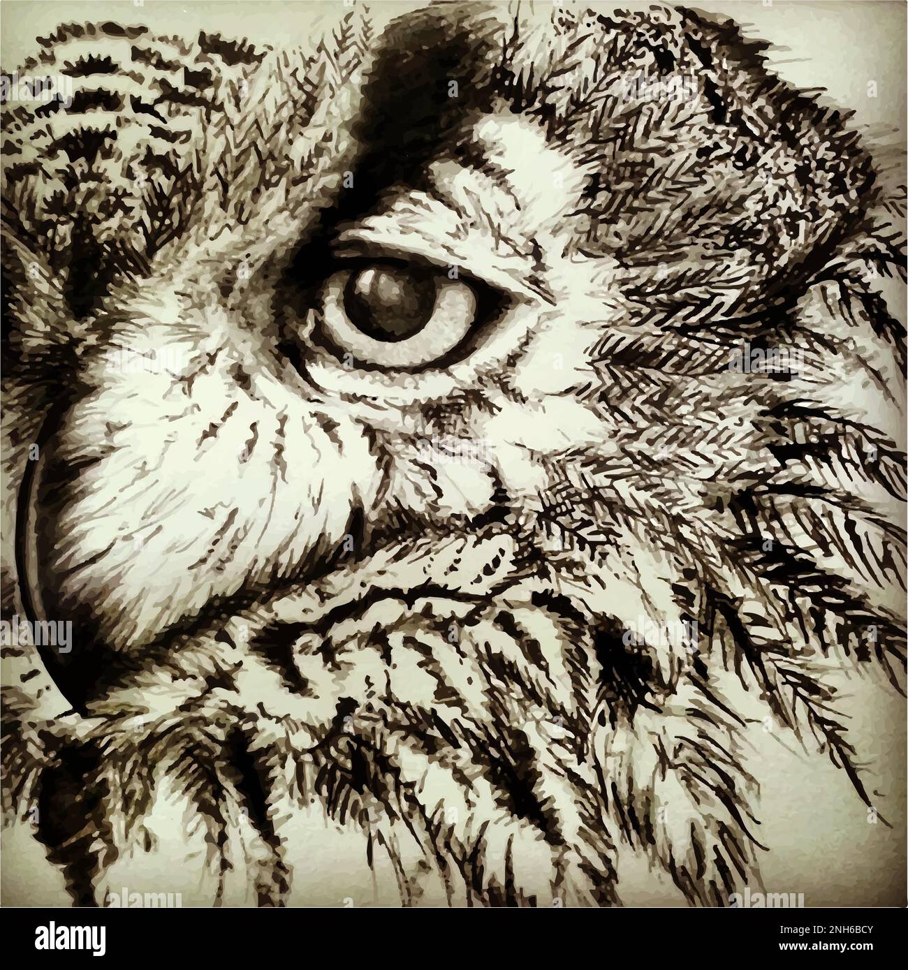 Sepia sketched art of ink vintage owl vector Stock Vector Image & Art ...