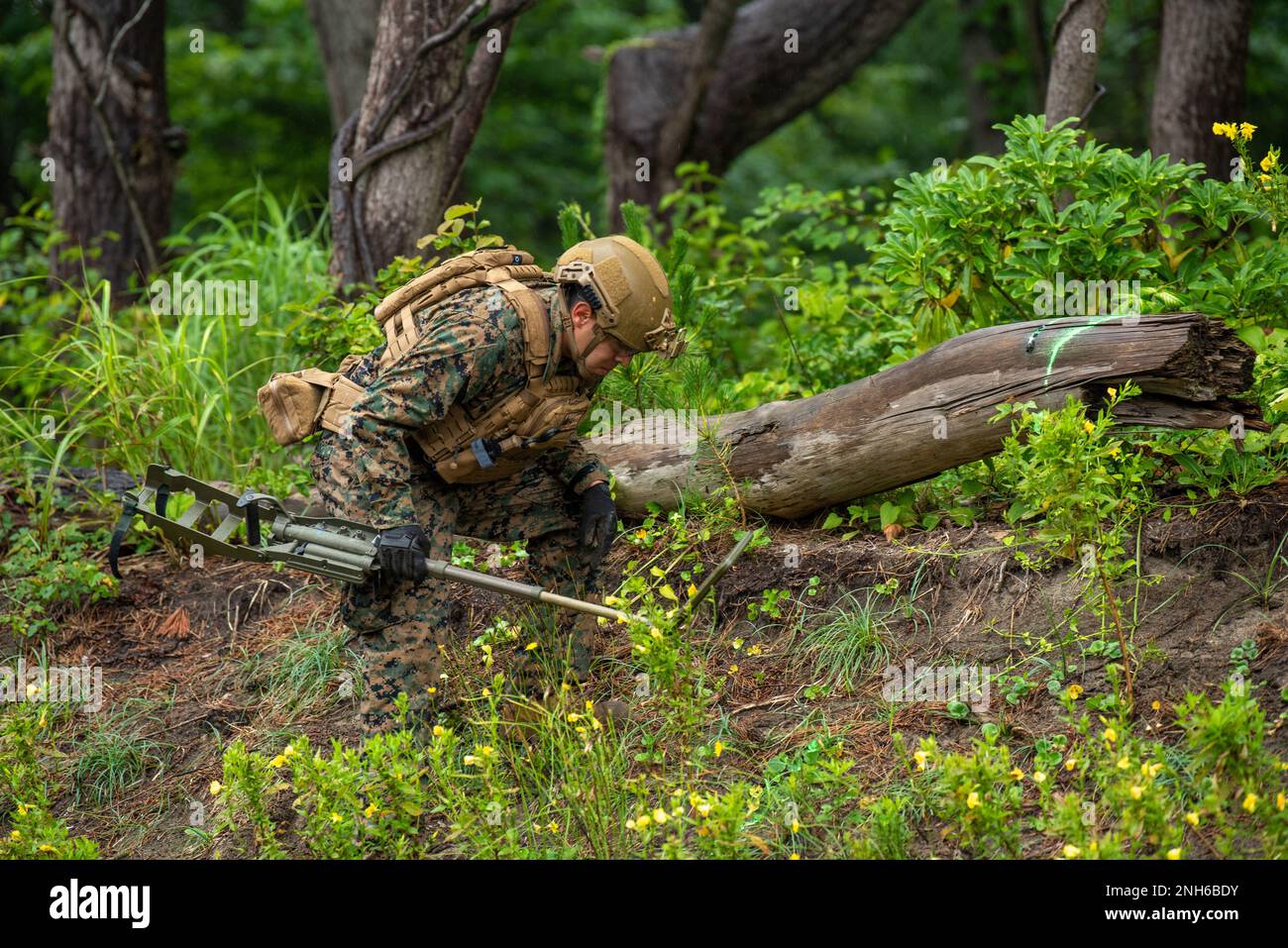 U.S. Marine Corps Sgt. Alfred Delgado, Marine Corps Air Station Iwakuni ...
