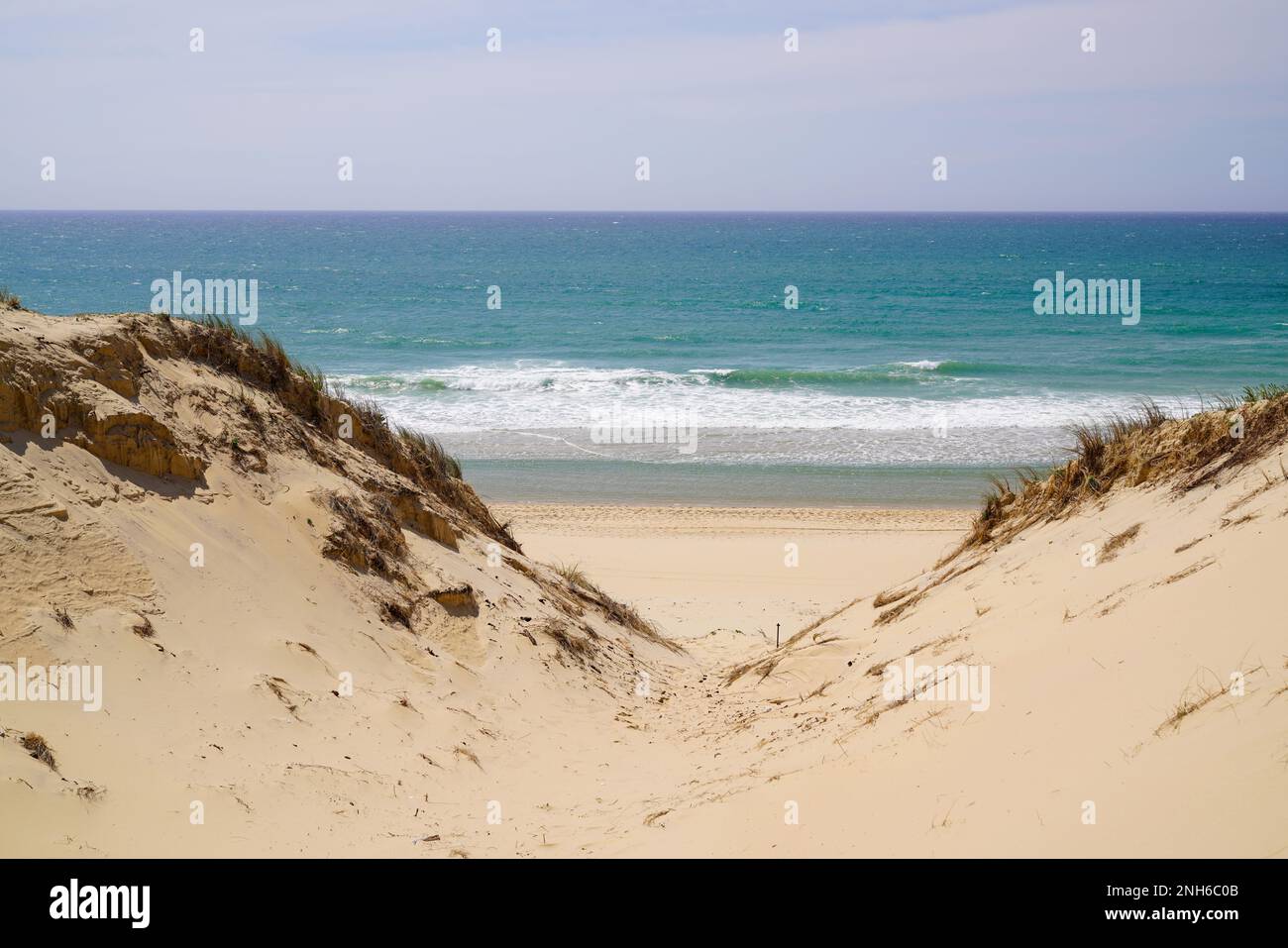 West coast in le porge beach sea sandy horizon view from France Stock ...