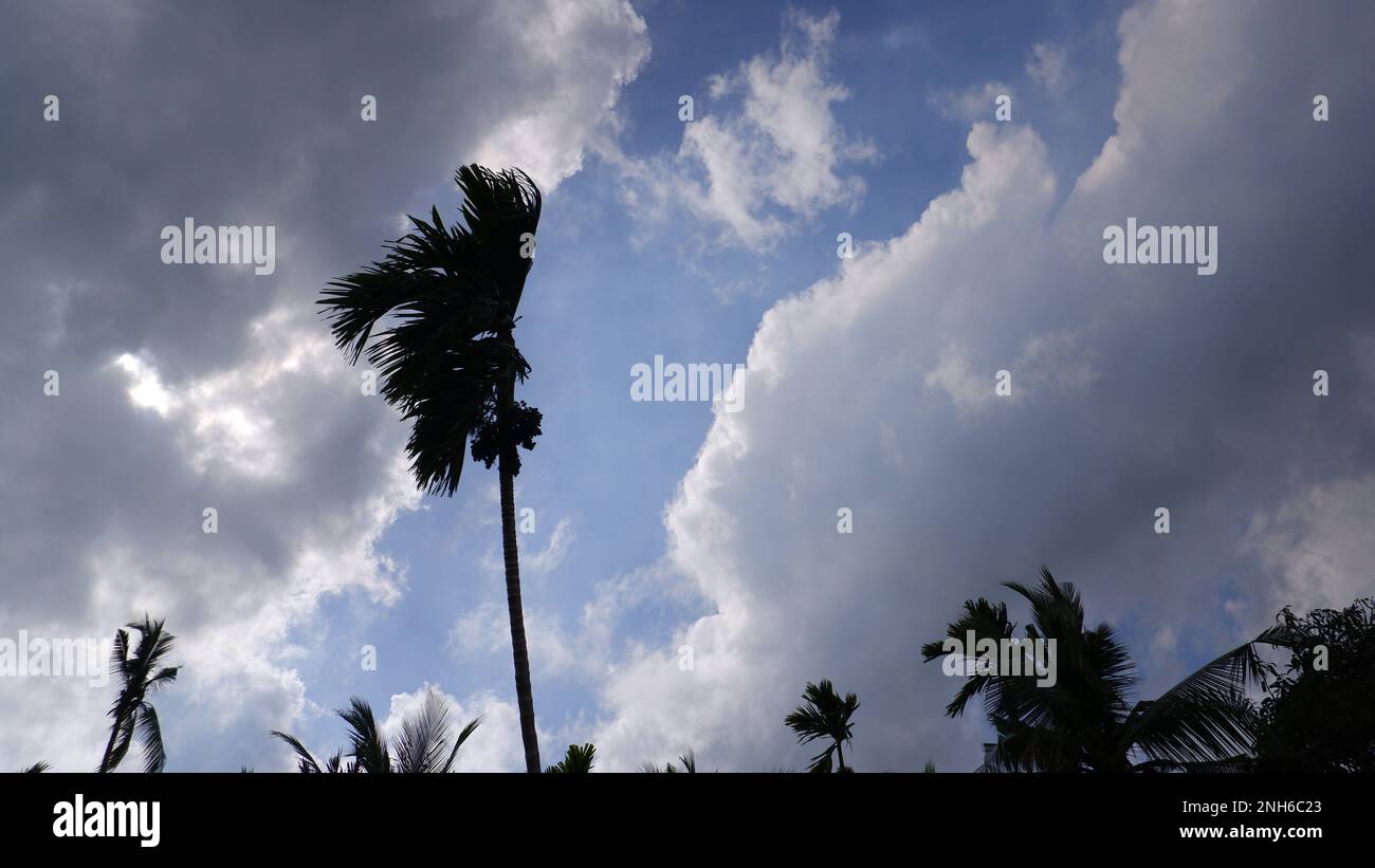 Nature Landscape With Bright Blue Sky And Big White Clouds, And ...
