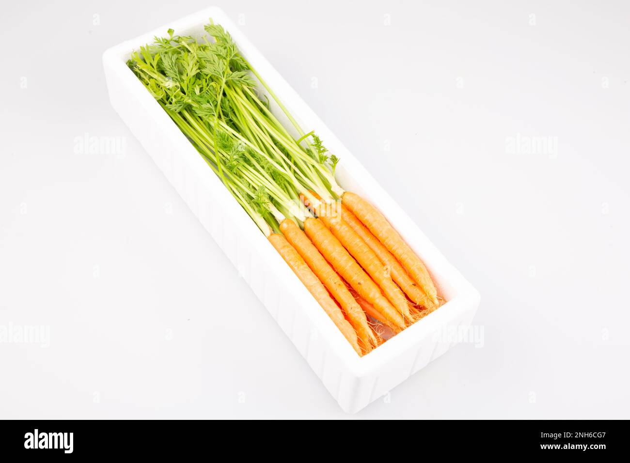 Fresh carrot in plastic white industrial box isolated on white ...