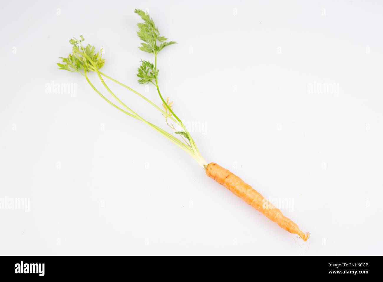 Carrot long snack isolated on white background Stock Photo - Alamy