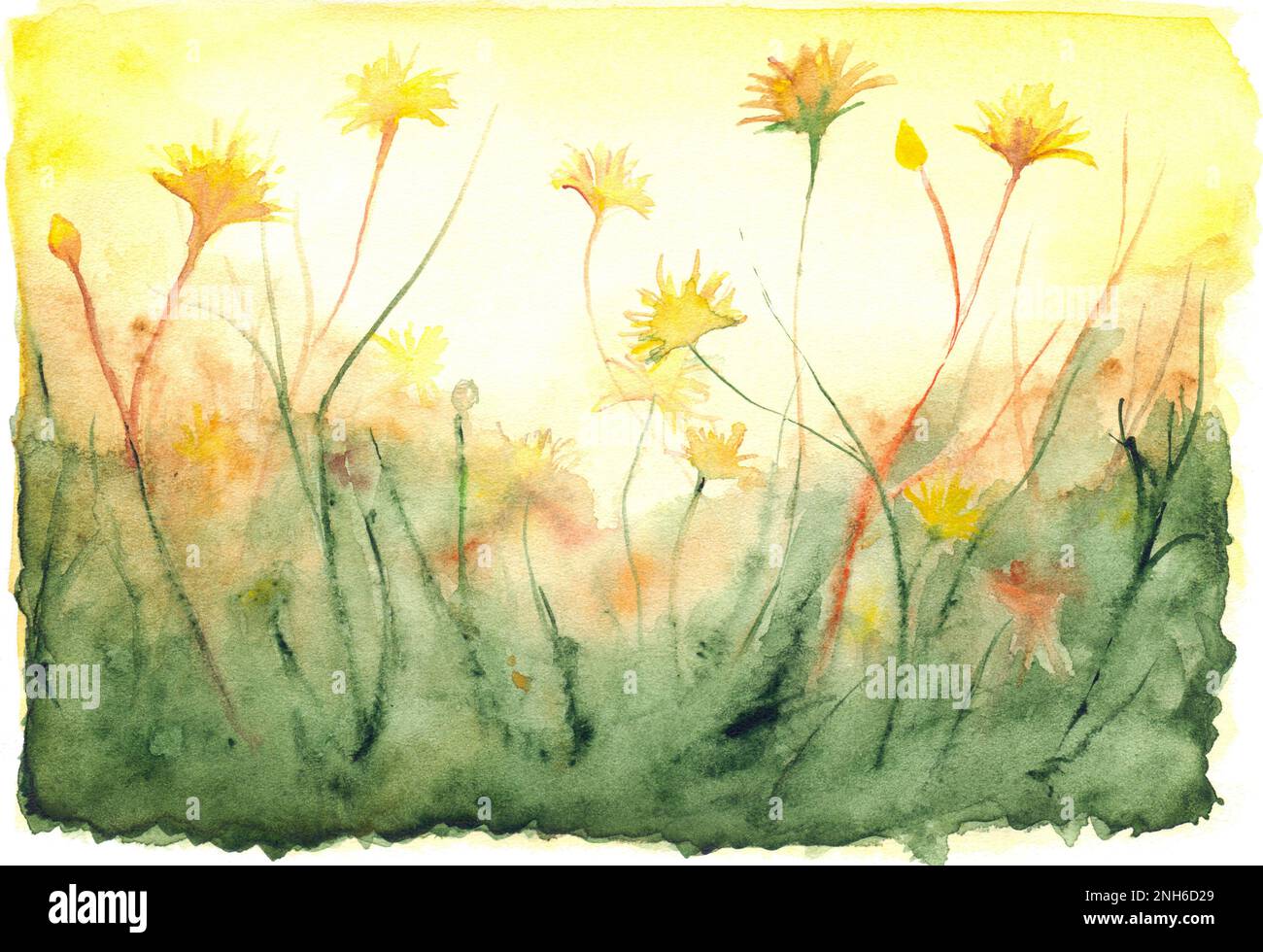 Watercolor field hi-res stock photography and images - Alamy