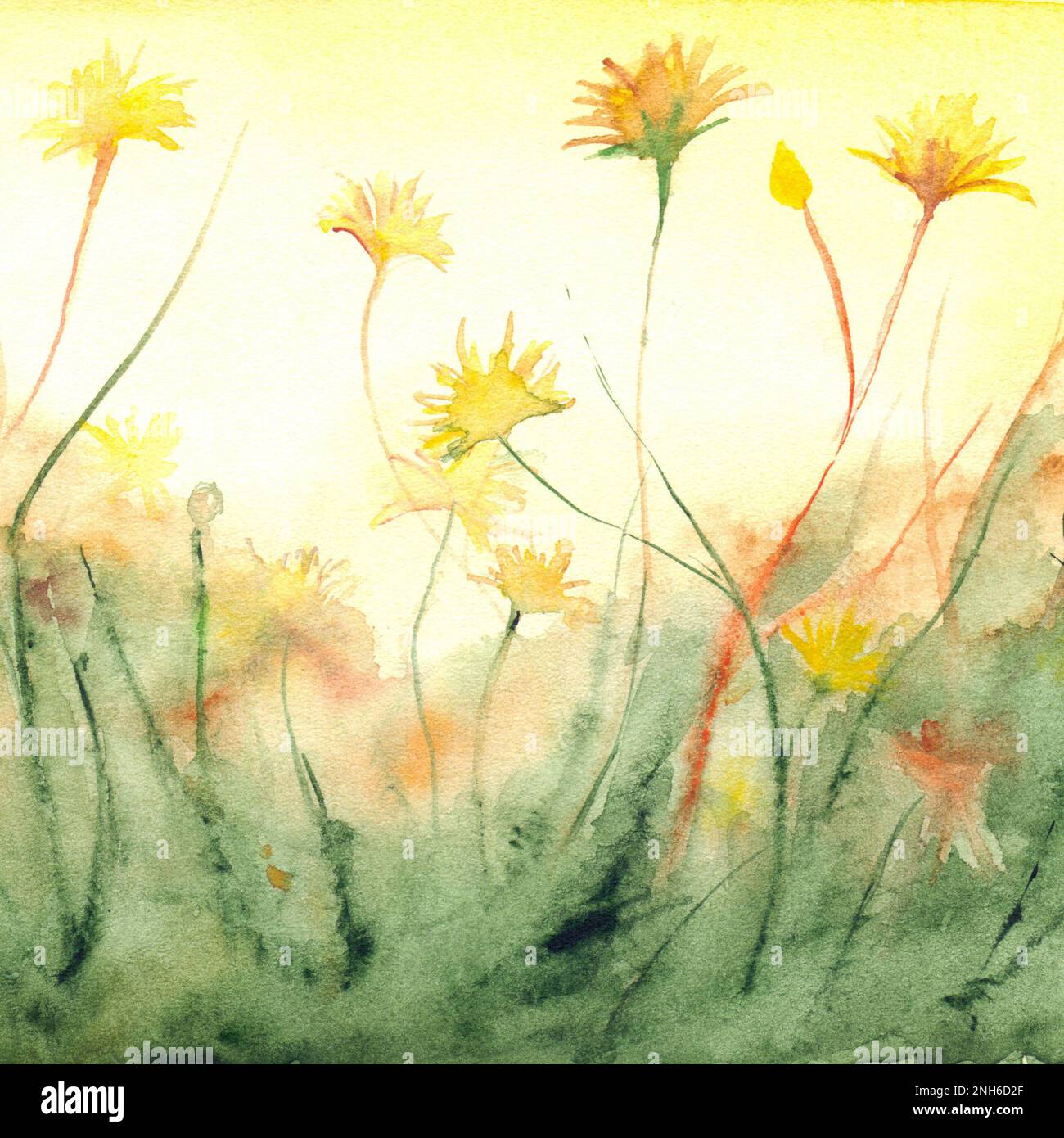 Watercolor field hi-res stock photography and images - Alamy