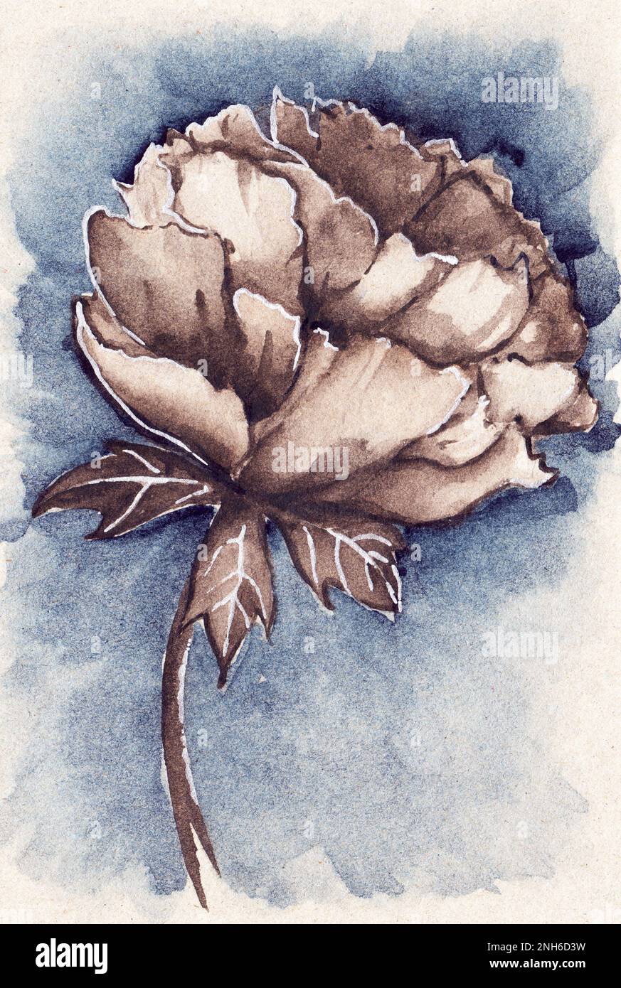 Navy blue leaf hi-res stock photography and images - Alamy