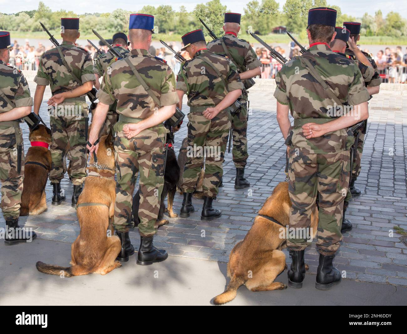 Soldier from at her base with dogs Stock Photo - Alamy