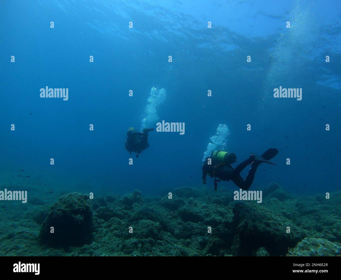 U.S. Army 10th Special Forces Group (Airborne) teamed up with special ...