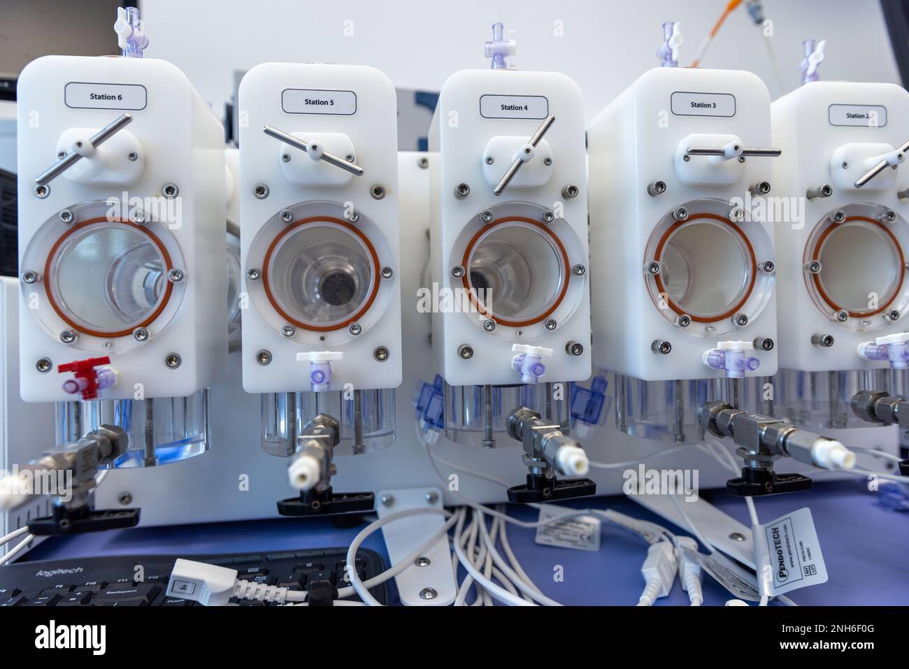 07 February 2023, Mecklenburg-Western Pomerania, Warnemünde: A heart ...