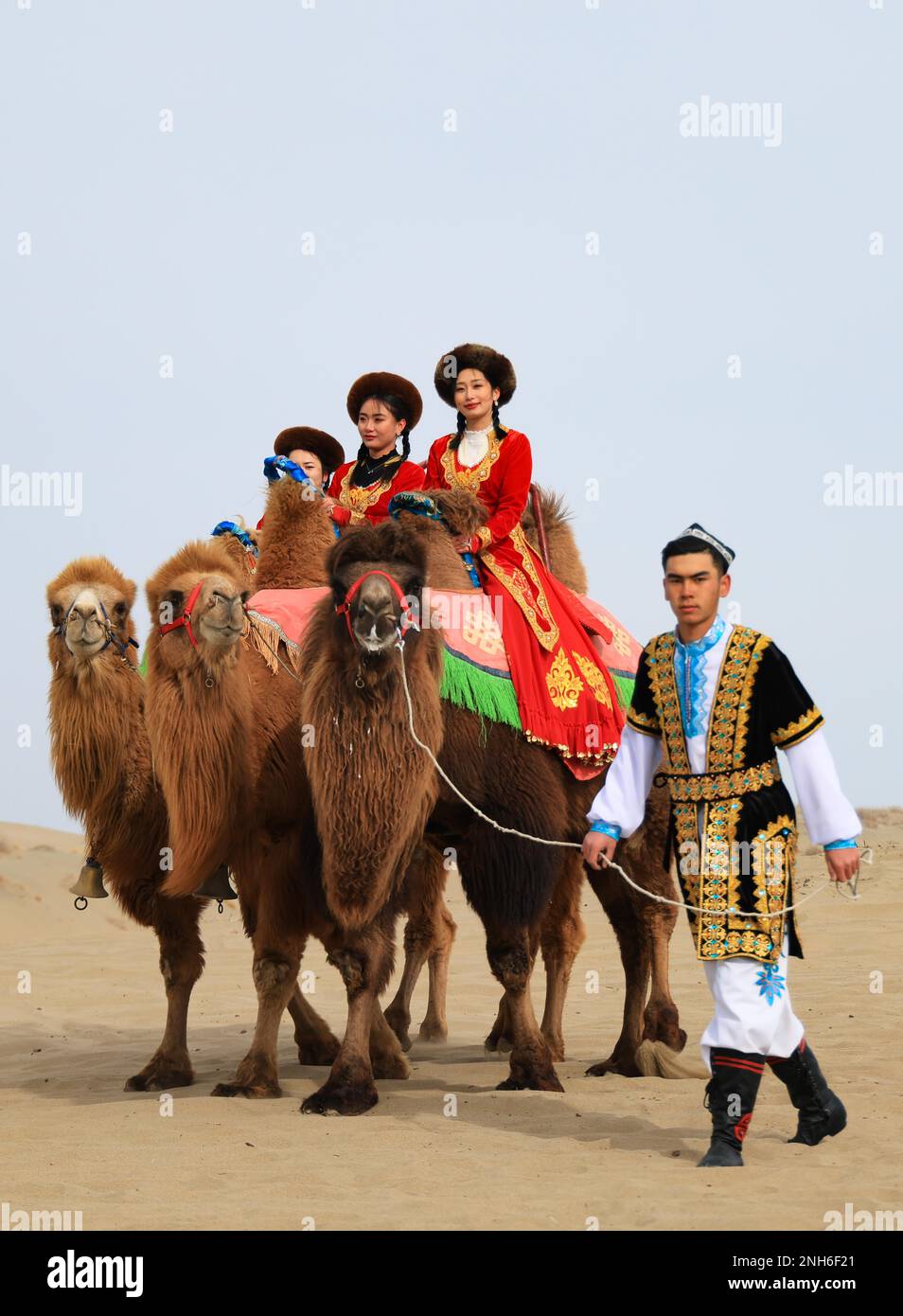 Tourists ride camels to visit the desert scenery in Bayingolin ...