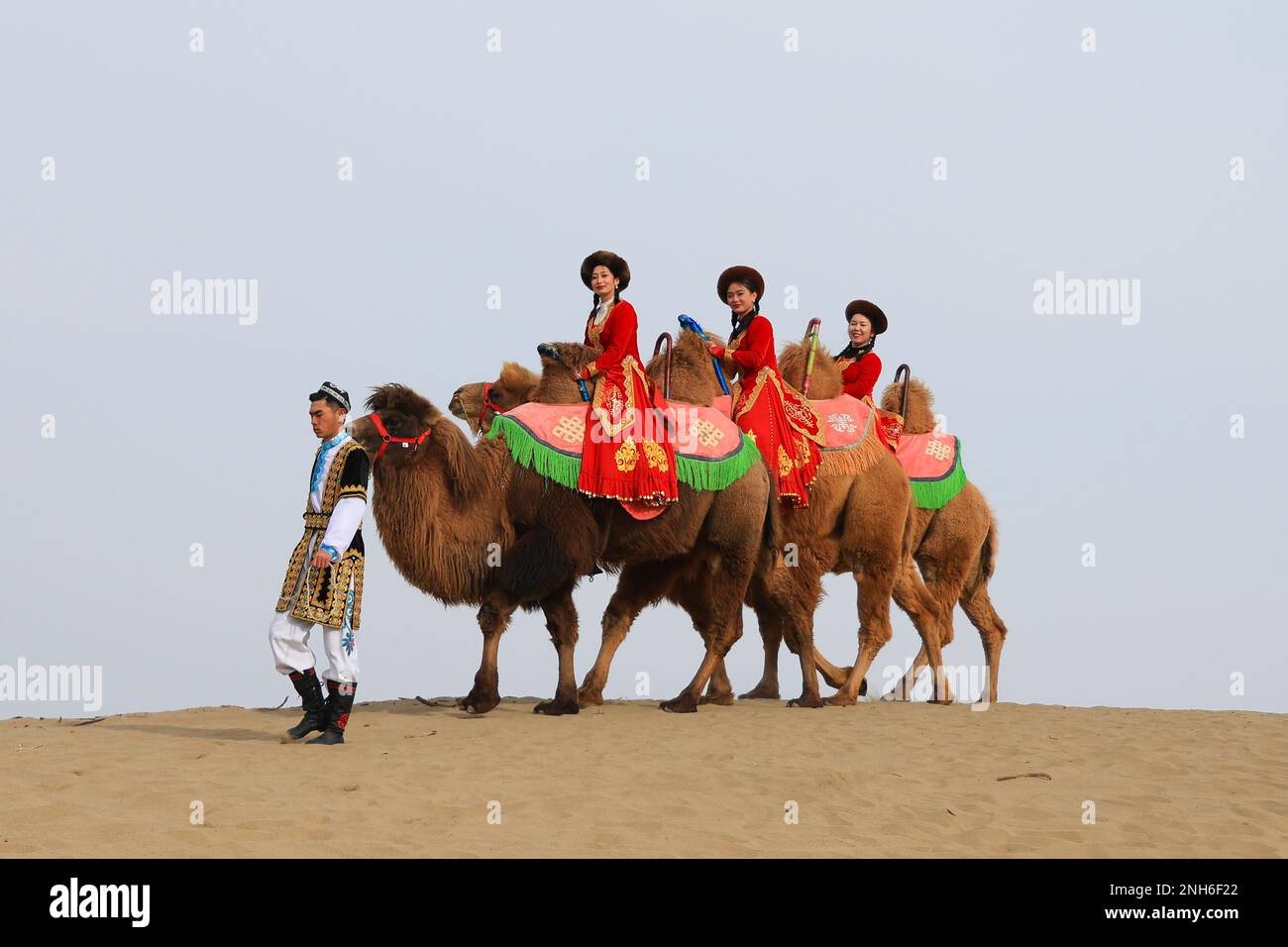 Tourists ride camels to visit the desert scenery in Bayingolin ...