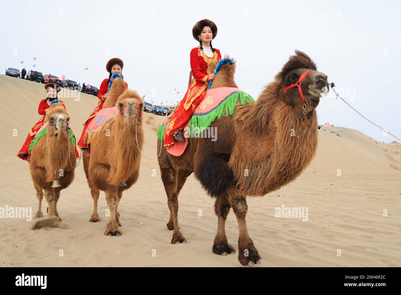 Tourists ride camels to visit the desert scenery in Bayingolin ...