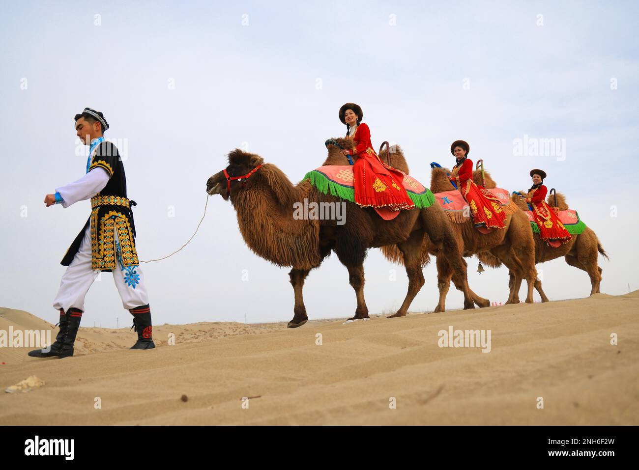 Tourists ride camels to visit the desert scenery in Bayingolin ...