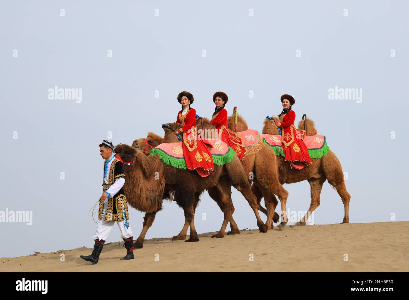 Tourists ride camels to visit the desert scenery in Bayingolin ...