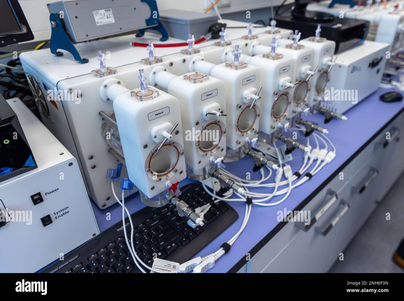 Prosthetic heart valves hi-res stock photography and images - Alamy