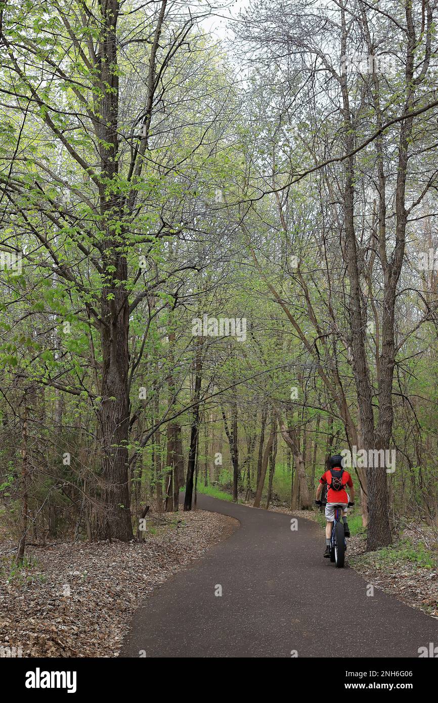 Bicycle rider on the Gandy Dancer Trail in St. Croix Falls, Wisconsin ...