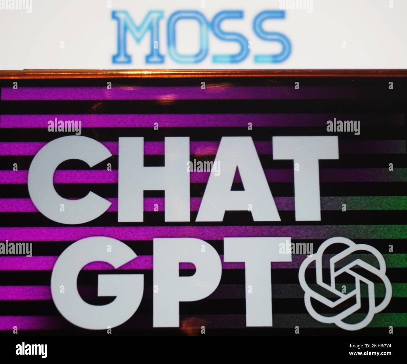 HANGZHOU, CHINA - FEBRUARY 21, 2023 - Illustration: MOSS, China's first ...