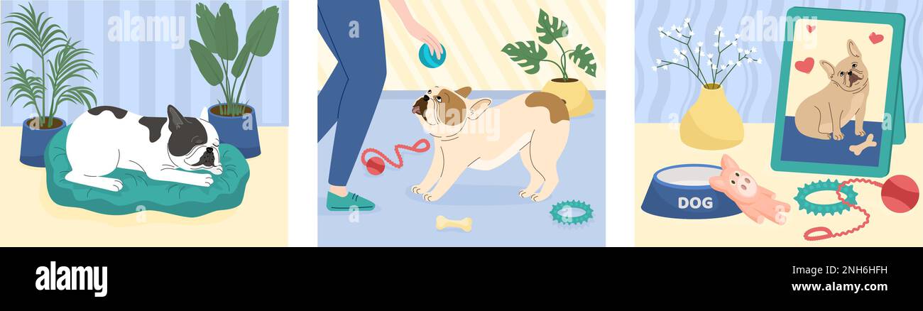 Dogs cards set with rest and activity symbols flat isolated vector ...