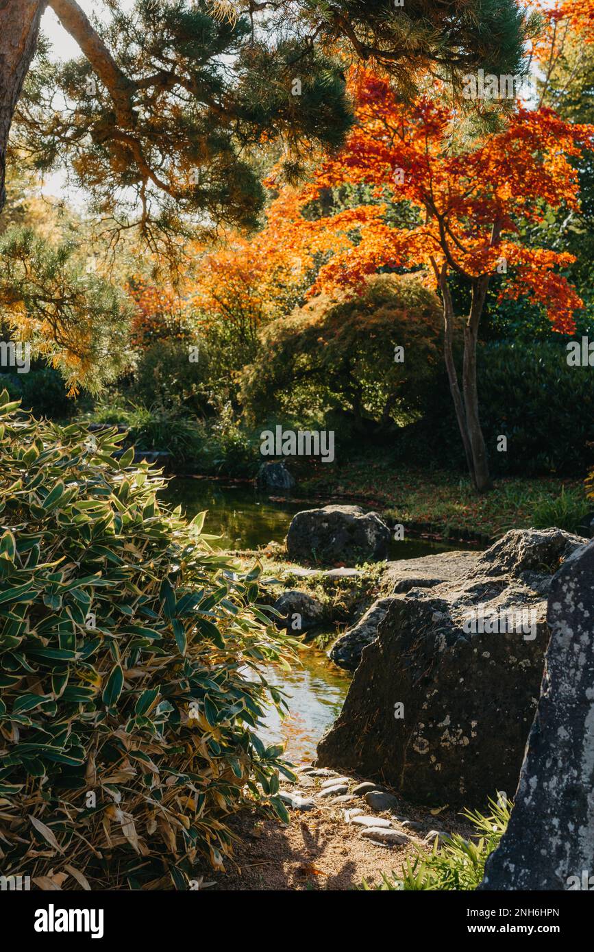 Beautiful calm scene in spring Japanese garden. Japan autumn image ...