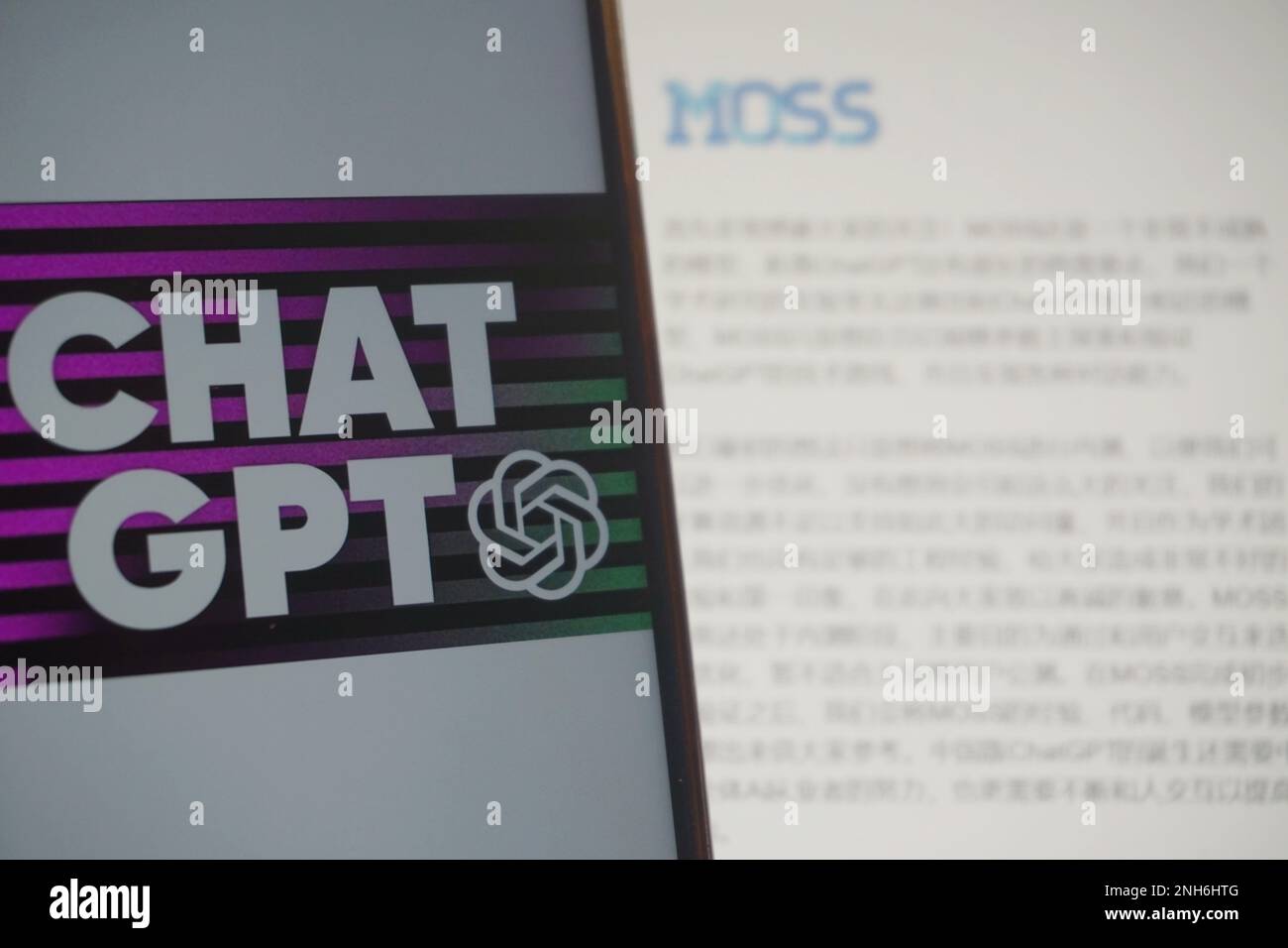 HANGZHOU, CHINA - FEBRUARY 21, 2023 - Illustration: MOSS, China's first ...