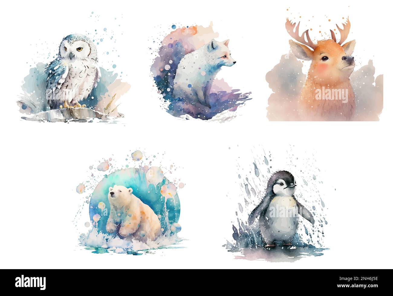 Clipart arctic fox hi-res stock photography and images - Alamy