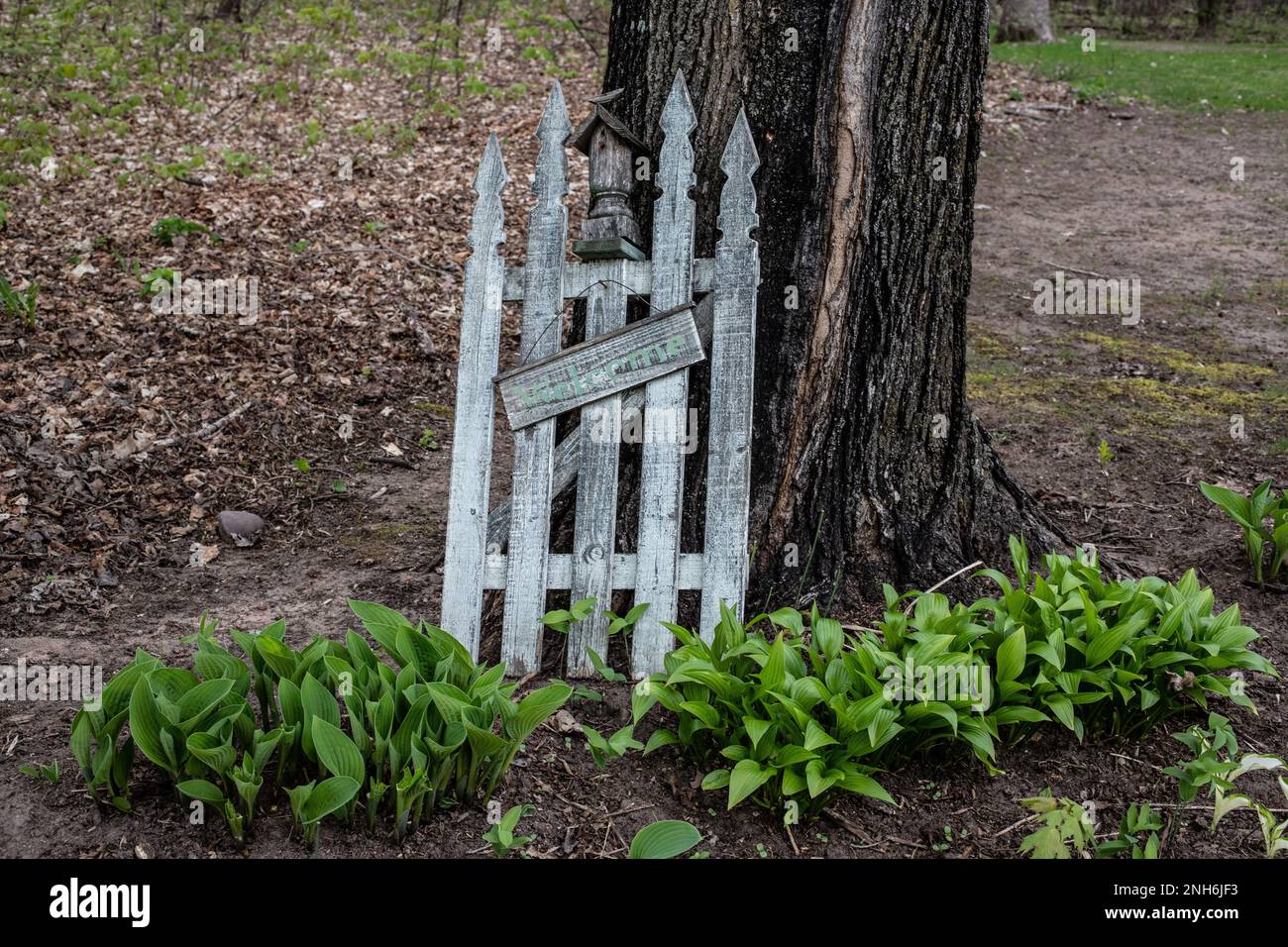 Gate with birdhouse against a tree as a yard decoration with hostas ...