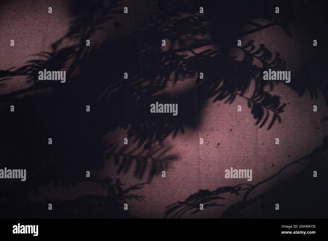 A close-up of a concrete wall with a dappled shadow pattern cast from ...