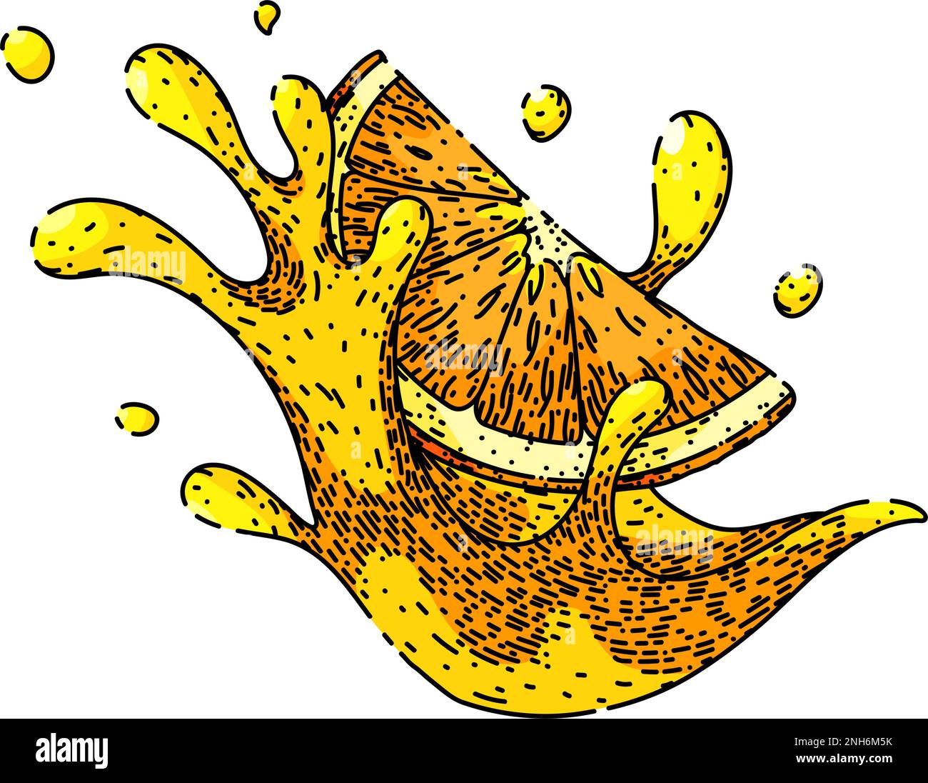 orange splash juice sketch hand drawn vector Stock Vector Image & Art ...