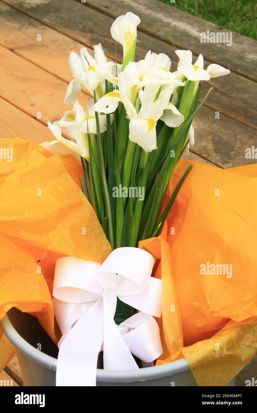 White iris bouquet hi-res stock photography and images - Alamy