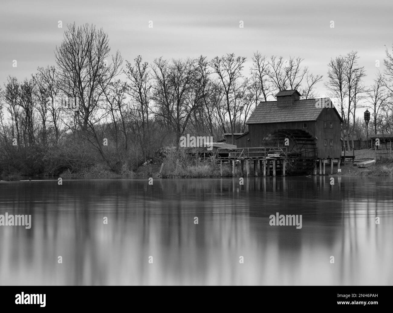 Jelka Black and White Stock Photos & Images - Alamy