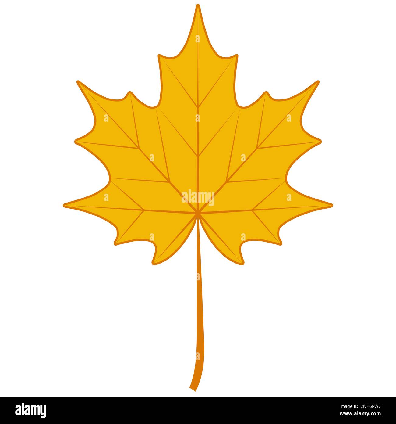 Autumn dry maple leaf, symbol Canada maple autumn fallen leaf Stock ...