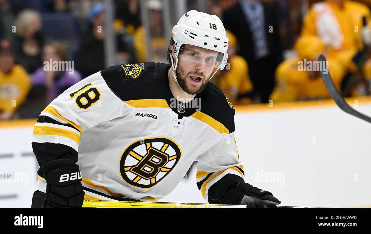 Boston Bruins center Pavel Zacha (18) plays against the Nashville ...