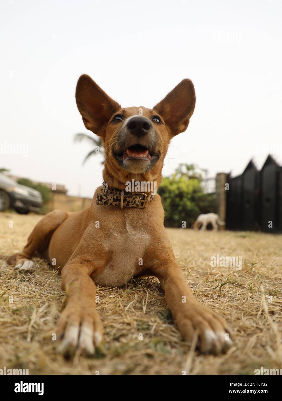 Just be joyful hi-res stock photography and images - Alamy