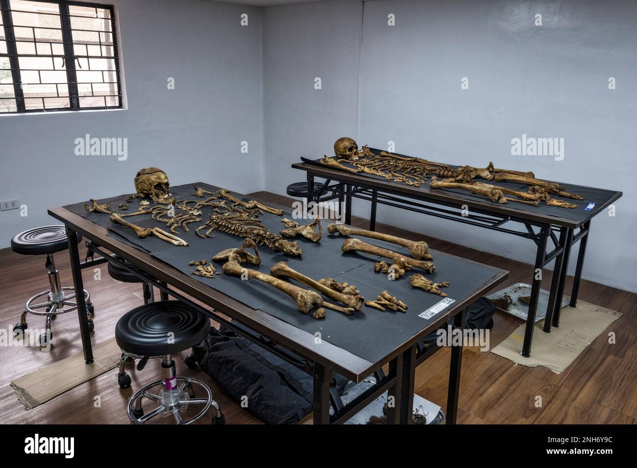 Forensic pathologist Raquel Fortun, Manila, Philippines Stock Photo - Alamy