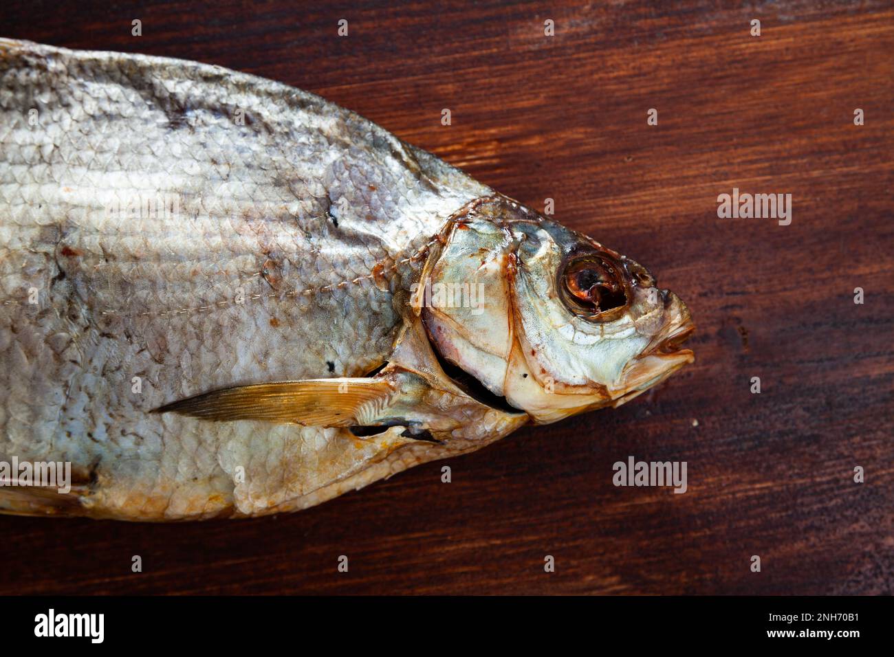 Common bream freshwater bream carp hi-res stock photography and images ...